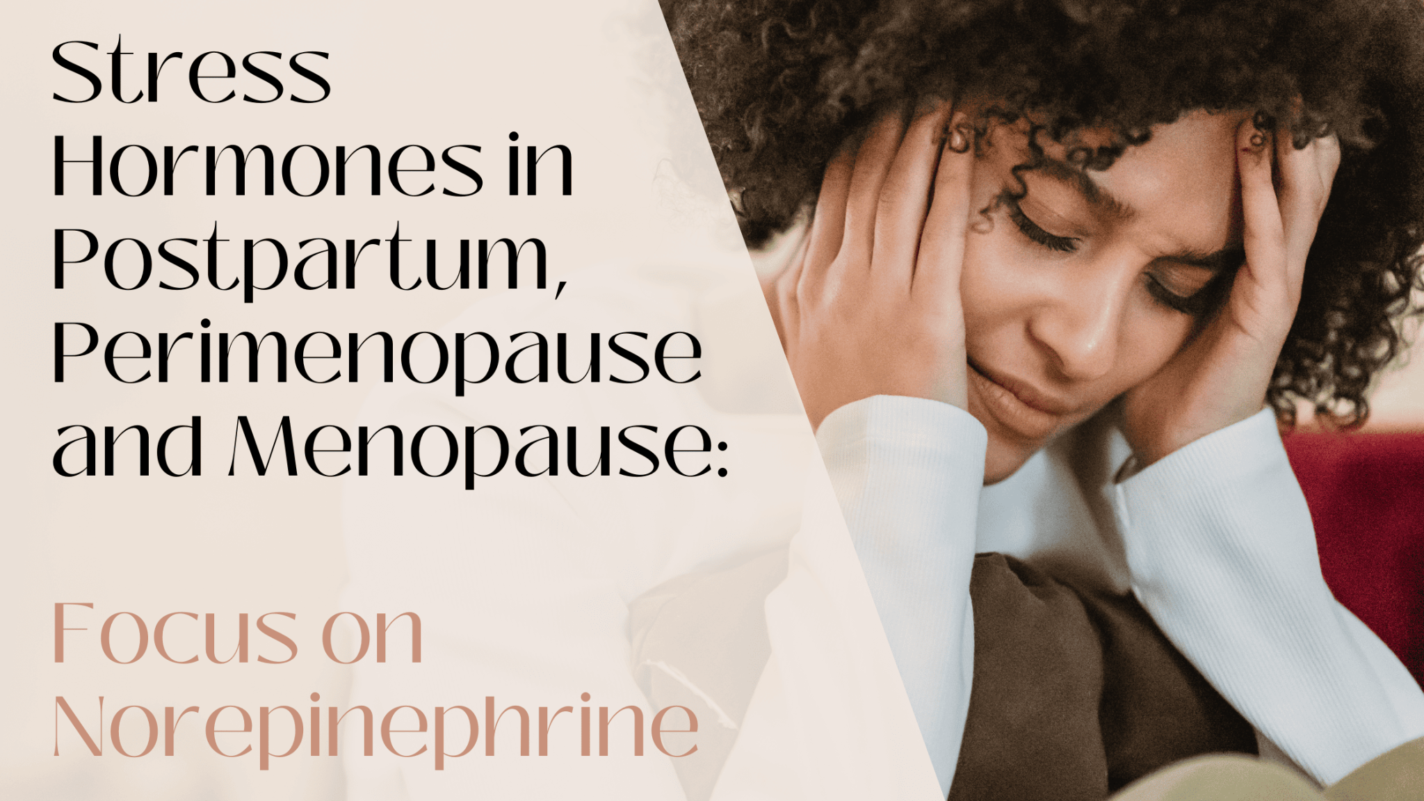 Stress Hormones in Postpartum, Perimenopause and Menopause: Focus on ...