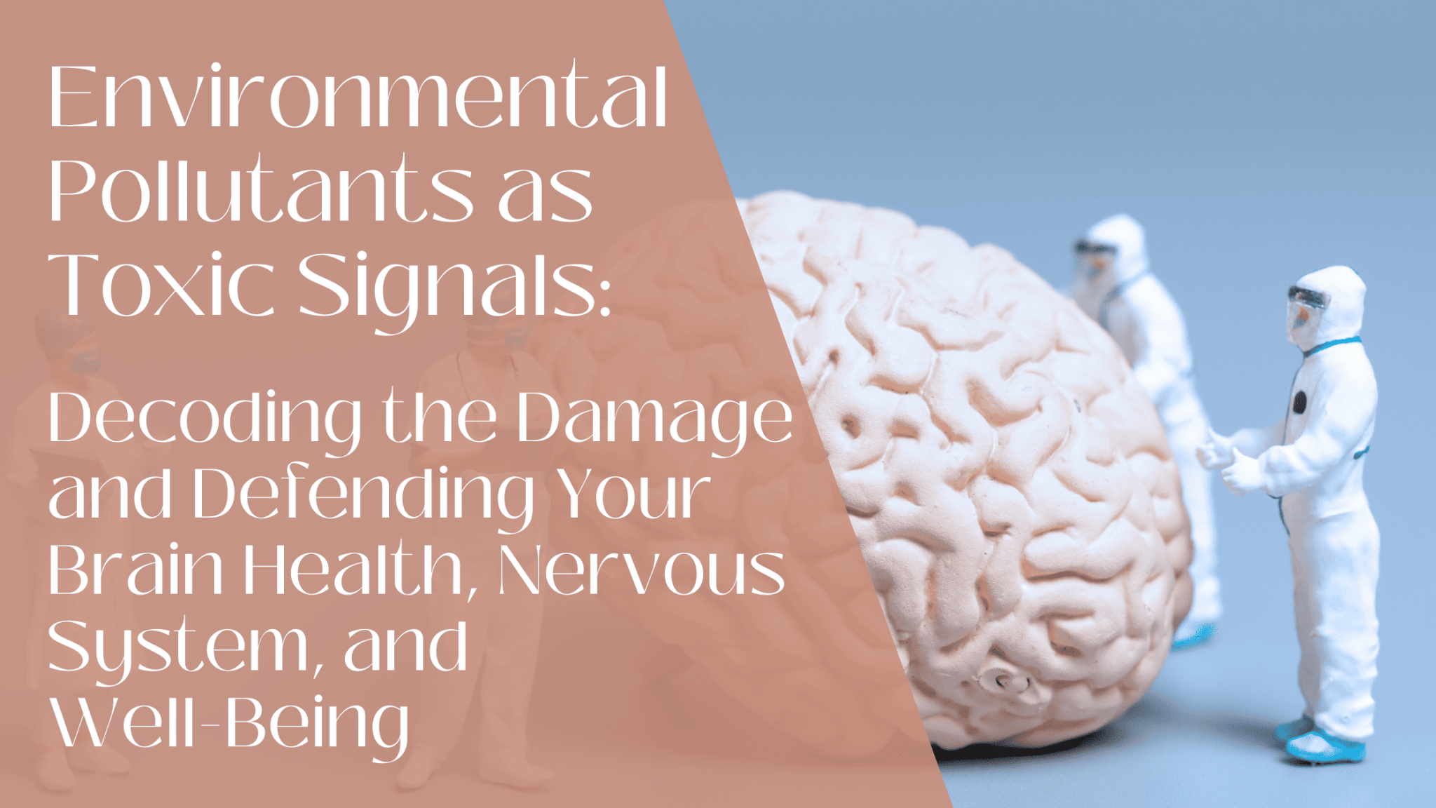 Environmental Pollutants as Toxic Signals: Part 2 – Decoding the Damage ...