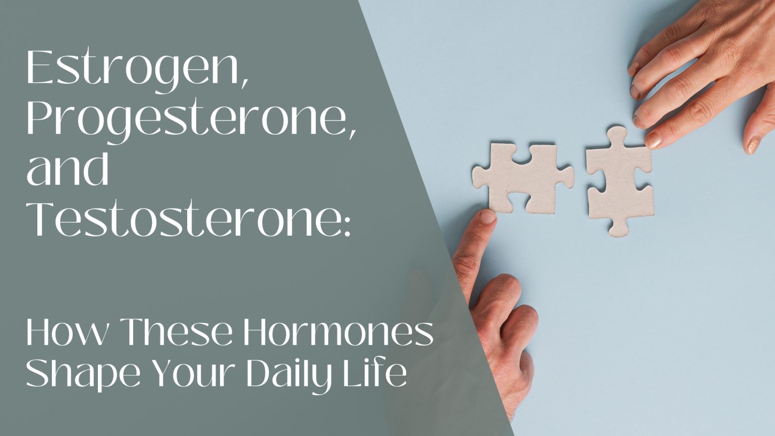 Estrogen, Progesterone, and Testosterone: How These Hormones Shape Your ...