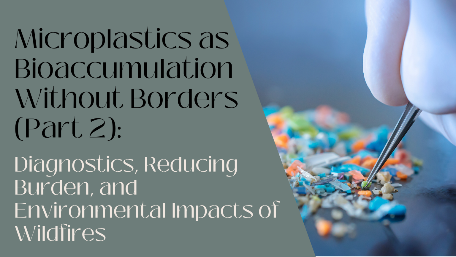 Microplastics as Bioaccumulation Without Borders (Part 2): Diagnostics ...